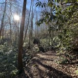 Jarrard Gap, Slaughter Creek, and Appalachian Trail Loop, Georgia - 434 ...