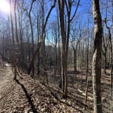 Jarrard Gap, Slaughter Creek, and Appalachian Trail Loop, Georgia - 450 ...