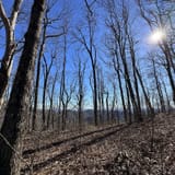 Jarrard Gap, Slaughter Creek, and Appalachian Trail Loop, Georgia - 381 ...