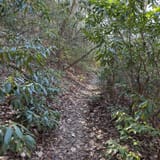Jarrard Gap, Slaughter Creek, and Appalachian Trail Loop, Georgia - 434 ...