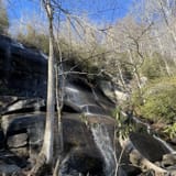 Daniel Ridge Loop, North Carolina - 1,793 Reviews, Map | AllTrails