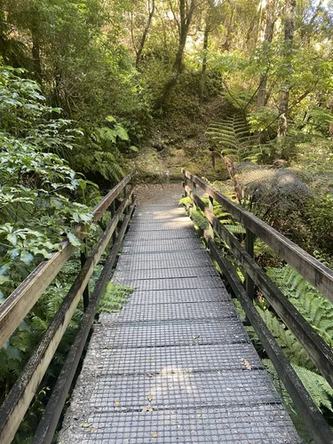 Best Hard Trails in Remutaka Forest Park | AllTrails