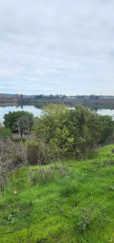 Best Hikes and Trails in Shadow Cliffs Regional Recreation Area | AllTrails