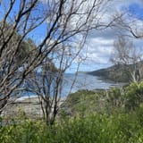 Elliot River Loop Walk, Victoria, Australia - 157 Reviews, Map | AllTrails
