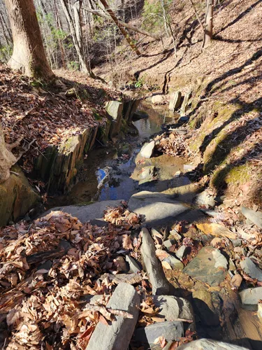 Best Hikes and Trails in Salthouse Branch Park | AllTrails
