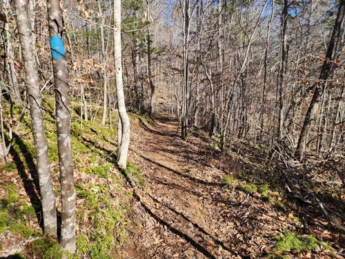 Best Hikes and Trails in Salthouse Branch Park | AllTrails