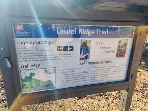 Best Hikes and Trails in Salthouse Branch Park | AllTrails