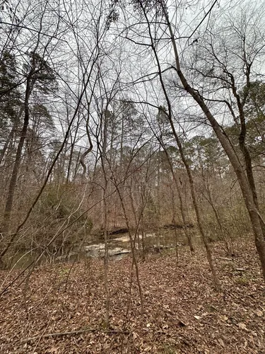 Best Hikes and Trails in Mistletoe State Park | AllTrails