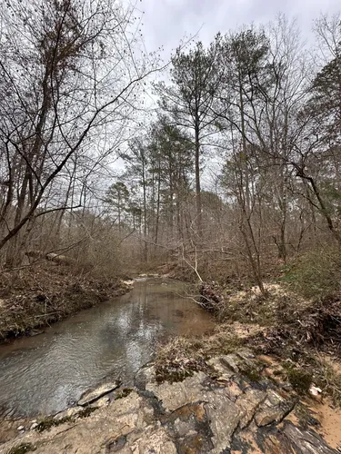 Best Hikes and Trails in Mistletoe State Park | AllTrails
