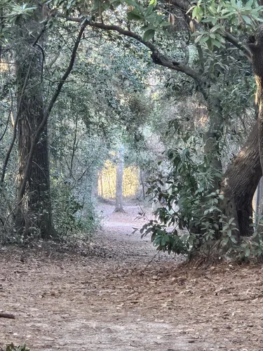 Best Hikes and Trails in Collins Park | AllTrails