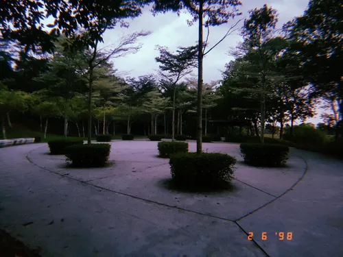 Best Hikes and Trails in Adda Heights Town Park | AllTrails