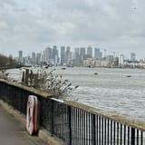 Capital Ring Walk Section 1: Woolwich Foot Tunnel to Falconwood, London ...