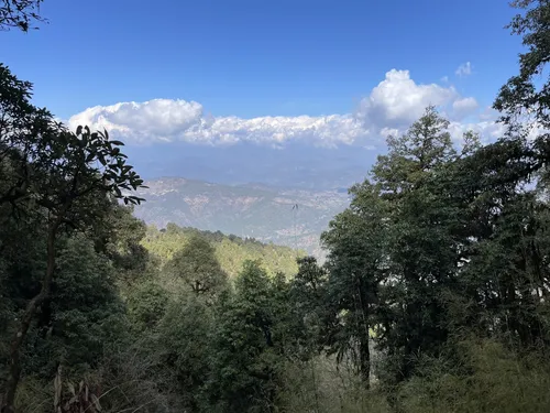Best Hikes and Trails in Binsar Wildlife Sanctuary | AllTrails