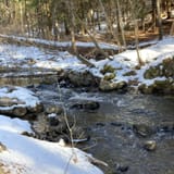 Beaver Brook Trail, Eastman Meadow Trail, and Maple Hill Ridge Loop ...