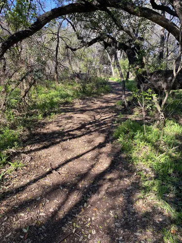 Best Hikes and Trails in Headwaters Sanctuary | AllTrails