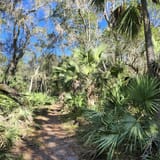 Boardman Pond Observation Platform Trail, Florida - 72 Reviews, Map ...