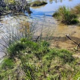 Boardman Pond Observation Platform Trail, Florida - 72 Reviews, Map ...