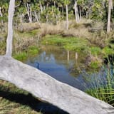 Boardman Pond Observation Platform Trail, Florida - 72 Reviews, Map ...