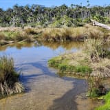 Boardman Pond Observation Platform Trail, Florida - 72 Reviews, Map ...