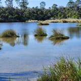 Boardman Pond Observation Platform Trail, Florida - 72 Reviews, Map ...