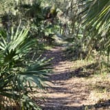 Boardman Pond Observation Platform Trail, Florida - 72 Reviews, Map ...