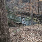 Sycamore Trail Loop, North Carolina - 1,550 Reviews, Map | AllTrails