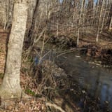 Sycamore Trail Loop, North Carolina - 1,550 Reviews, Map | AllTrails