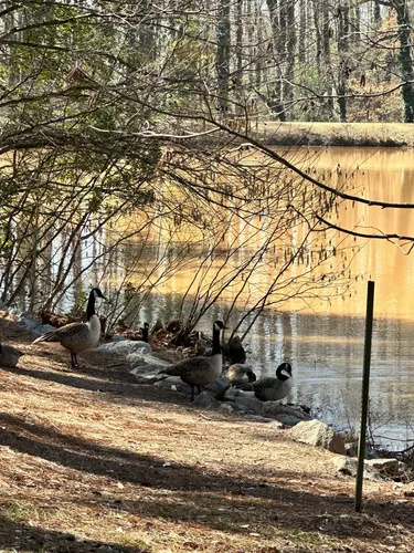 Best Hikes and Trails in Athens Memorial Park | AllTrails