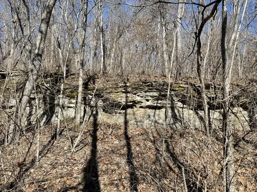 Best Hikes and Trails in William R Logan Conservation Area | AllTrails