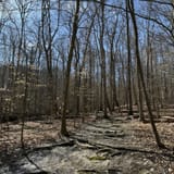 Plateau Trail, Ohio - 3,183 Reviews, Map | AllTrails
