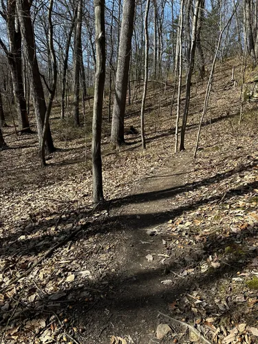 Best Hikes and Trails in Christmas Rocks Nature Preserve | AllTrails