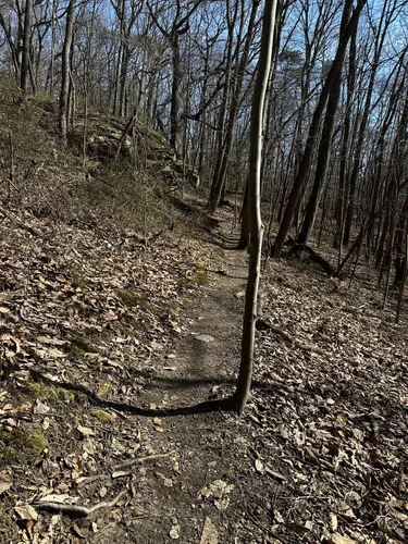 Best Hikes and Trails in Christmas Rocks Nature Preserve | AllTrails