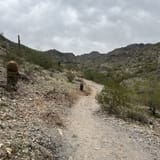 Ruth Hamilton Trail, Arizona - 2,670 Reviews, Map | AllTrails