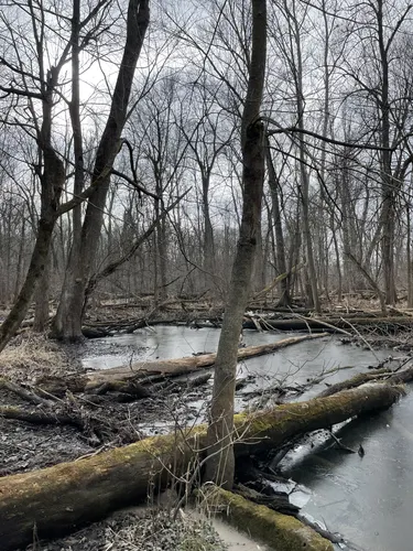Best Hikes and Trails in Hawk Island County Park | AllTrails