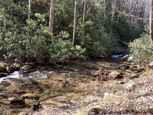 Best Walking Trails in Mills River | AllTrails