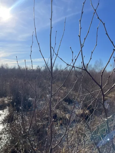 Best Hikes and Trails in Wainfleet Bog Conservation Area | AllTrails