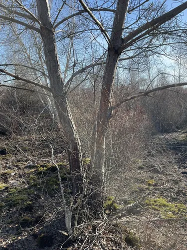 Best Hikes and Trails in Wainfleet Bog Conservation Area | AllTrails