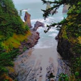 Secret Beach Trail, Oregon - 1,258 Reviews, Map | AllTrails