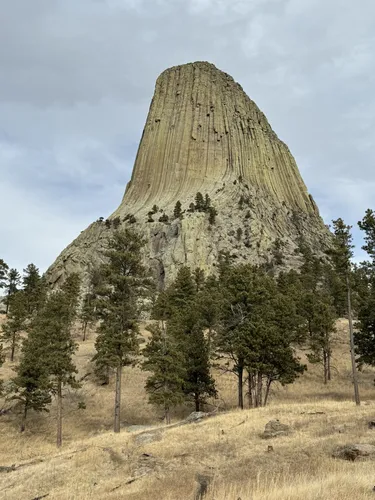 Best Bird Watching Trails in Devils Tower | AllTrails