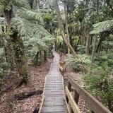 Clevedon Scenic Reserve Track and Thorps Quarry, Auckland, New Zealand ...