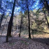 Whispering Cave - Cedar Falls Loop, Ohio - 640 Reviews, Map | AllTrails