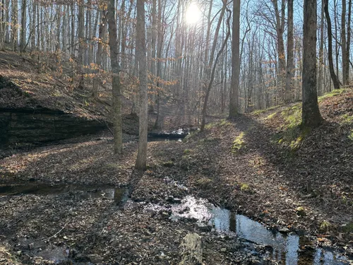 Best Hikes and Trails in Meriwether Lewis National Monument | AllTrails