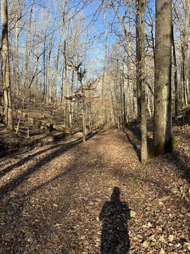 Best Hikes and Trails in Meriwether Lewis National Monument | AllTrails