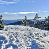 Mount Morgan Trail, New Hampshire - 847 Reviews, Map | AllTrails