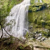 Little Mashel Falls Trail via Bud Blancher Trail, Washington - 3,168 ...