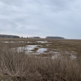Barn Island Wildlife Management Area Trail, Connecticut - 715 Reviews ...