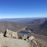 Sharp Top Trail, Virginia - 2,714 Reviews, Map | AllTrails