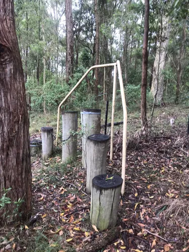 Best Walking Trails in Pokolbin | AllTrails