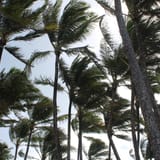 Ke Ala Hele Makalae (Kauai Multiuse Path), Kaua'i, Hawaii - 828 Reviews ...