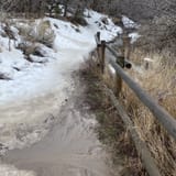 Yellow Fork Trail, Utah - 912 Reviews, Map | AllTrails